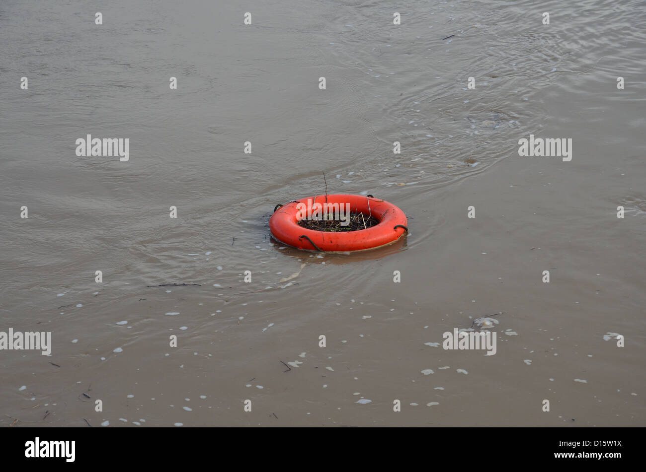 Life Preserver Floating in Flood Water Stock Photo - Alamy