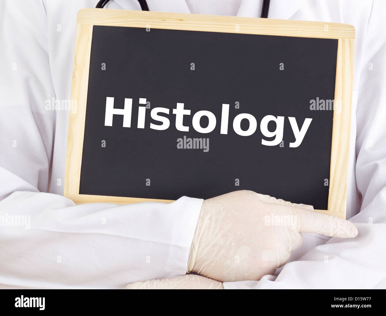 Doctor shows information on blackboard: histology Stock Photo - Alamy