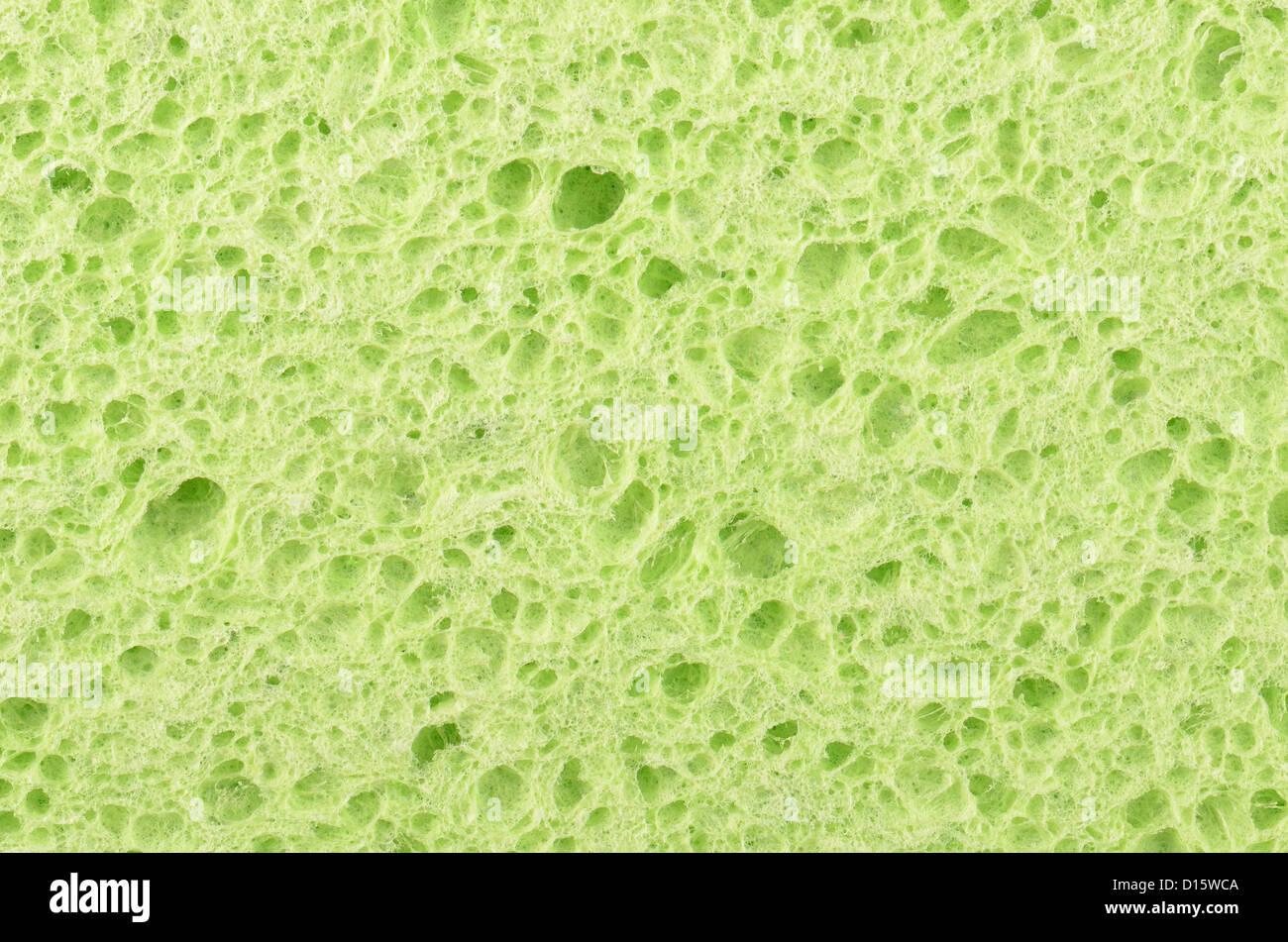 Cellulose hi-res stock photography and images - Alamy