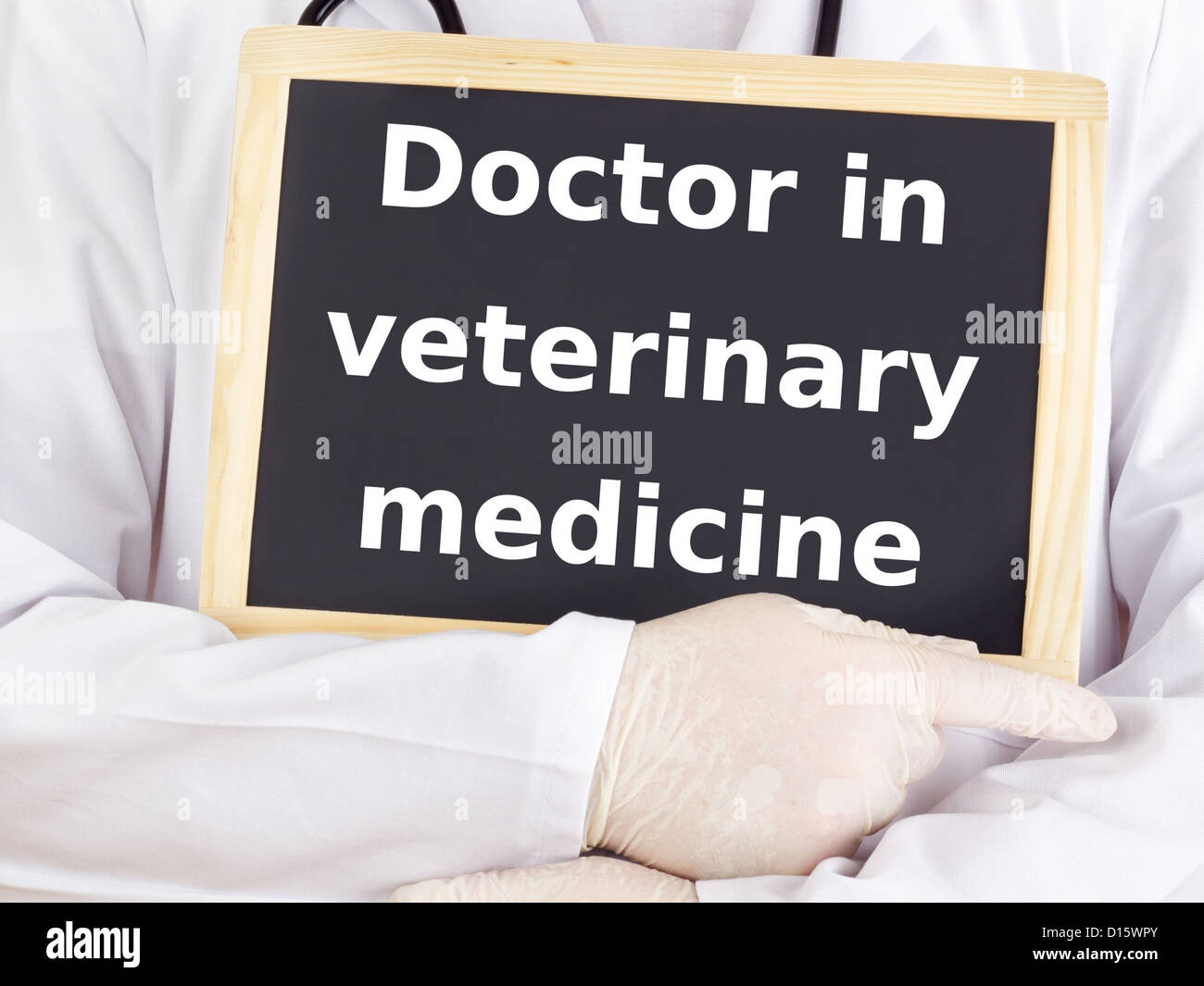 Doctor shows information: doctor in veterinary medicine Stock Photo - Alamy