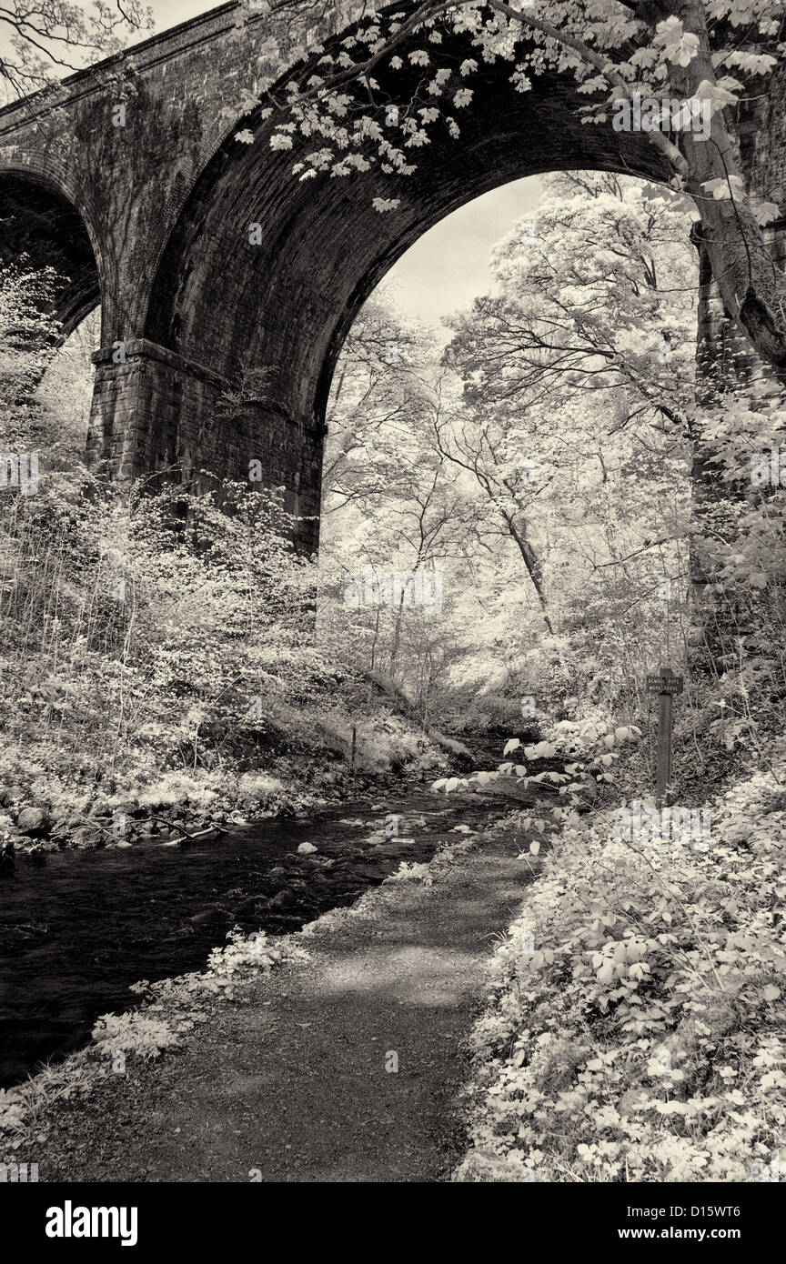 Wye valley railway hi-res stock photography and images - Alamy