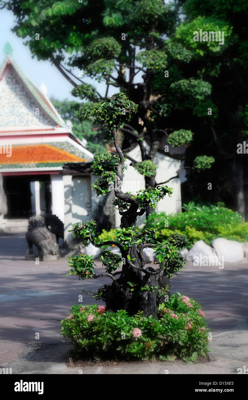 Wat Pho Temple of the reclining buddha buddhist shrine bangkok thailand ...