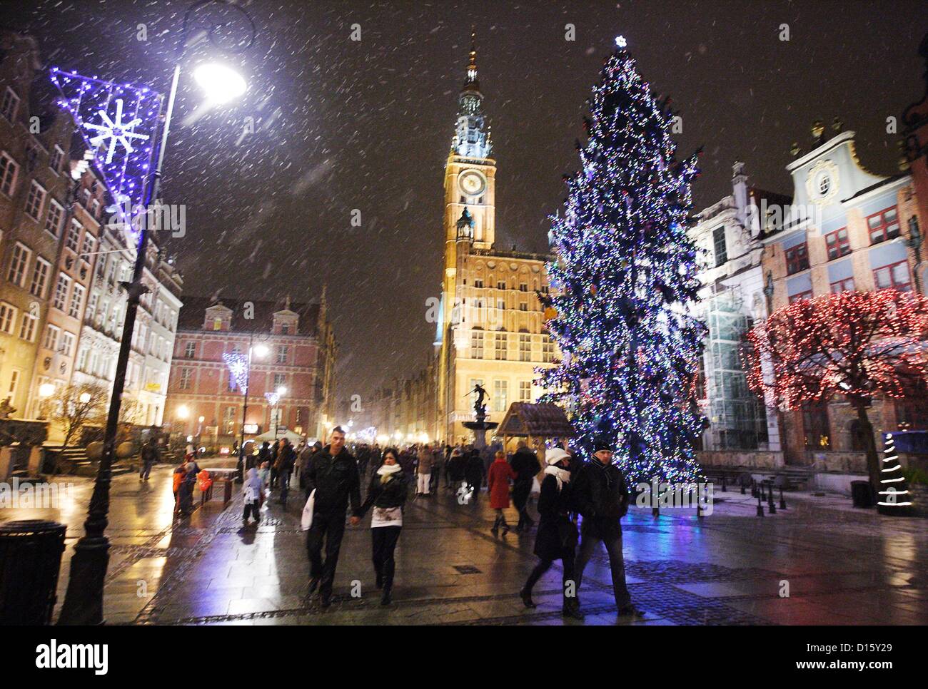 Gdansk, Poland 8th, December 2012 The tallest Christmas tree in Poland ...