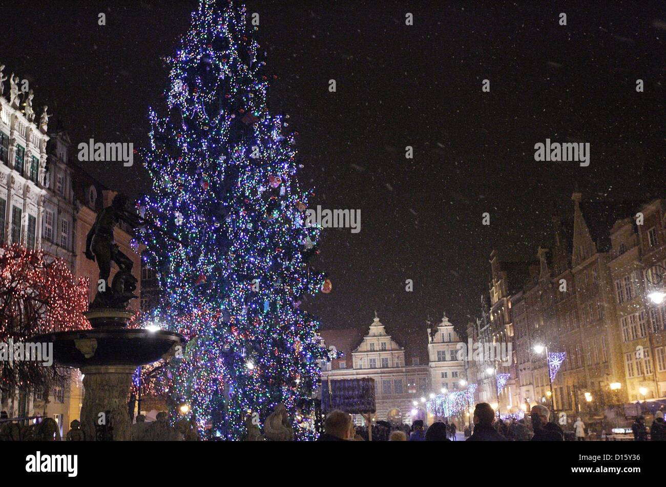 Gdansk, Poland 8th, December 2012 The tallest Christmas tree in Poland ...