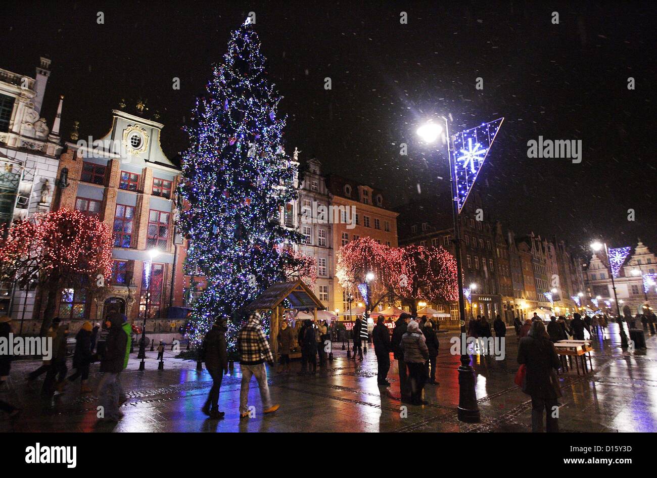 Gdansk, Poland 8th, December 2012 The tallest Christmas tree in Poland ...