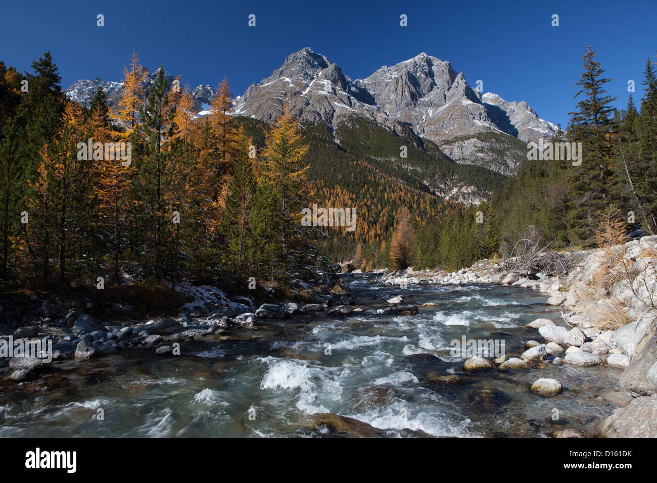 Autumn in Swiss National Park Stock Photo - Alamy