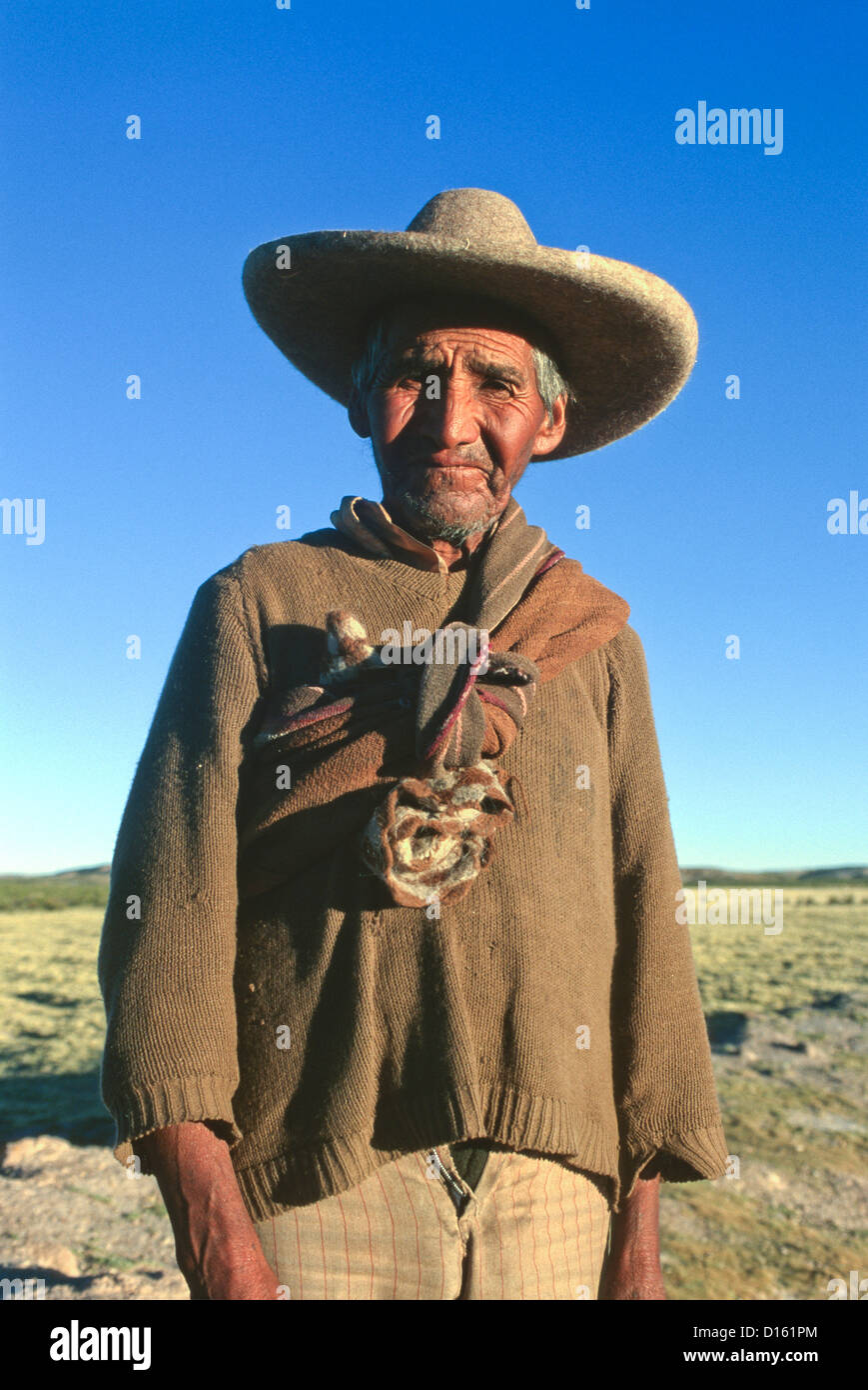 Native Aymara shepherd in the Altiplano, Andes, Bolivia Stock Photo - Alamy