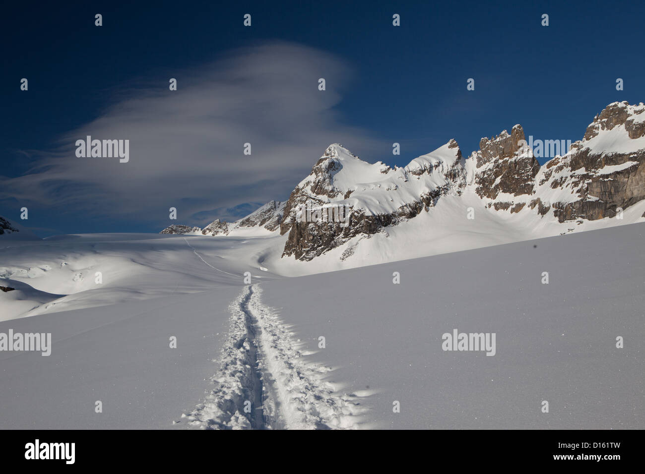 Clariden hi-res stock photography and images - Alamy