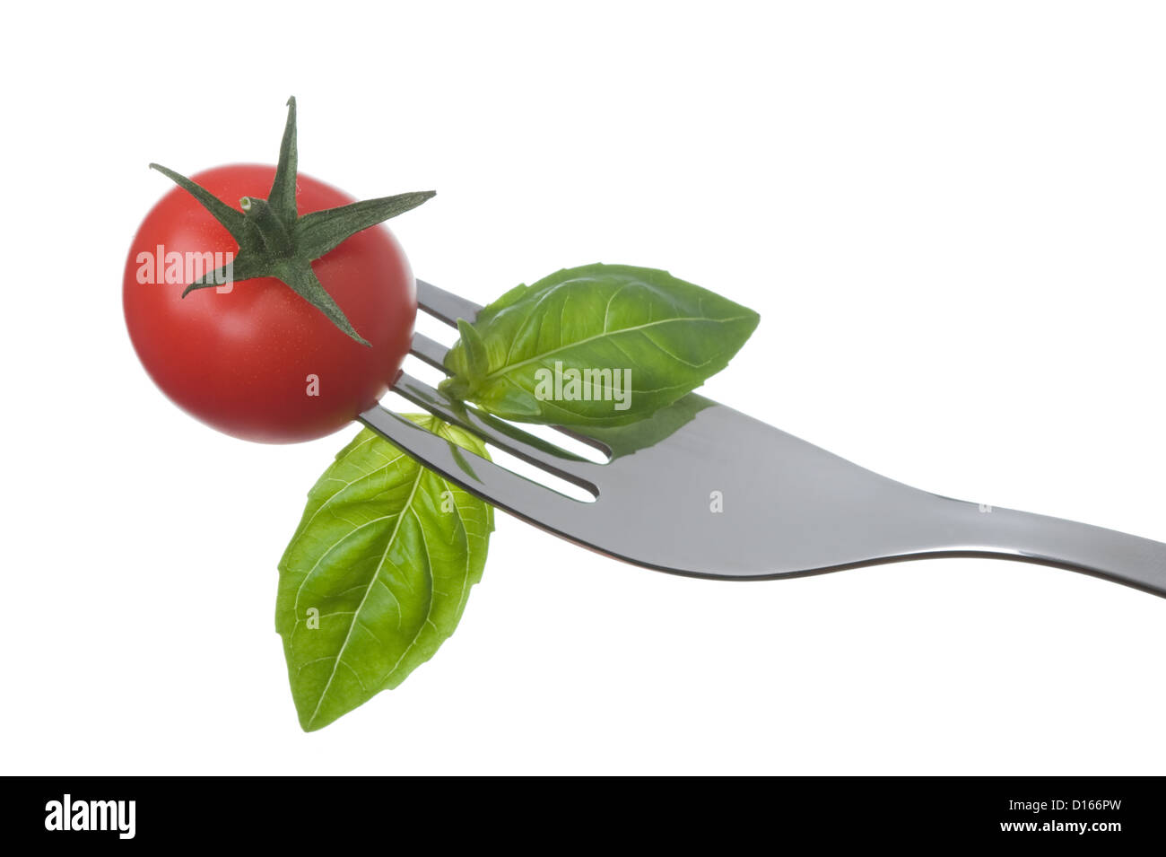 Green prong leaves hi-res stock photography and images - Alamy