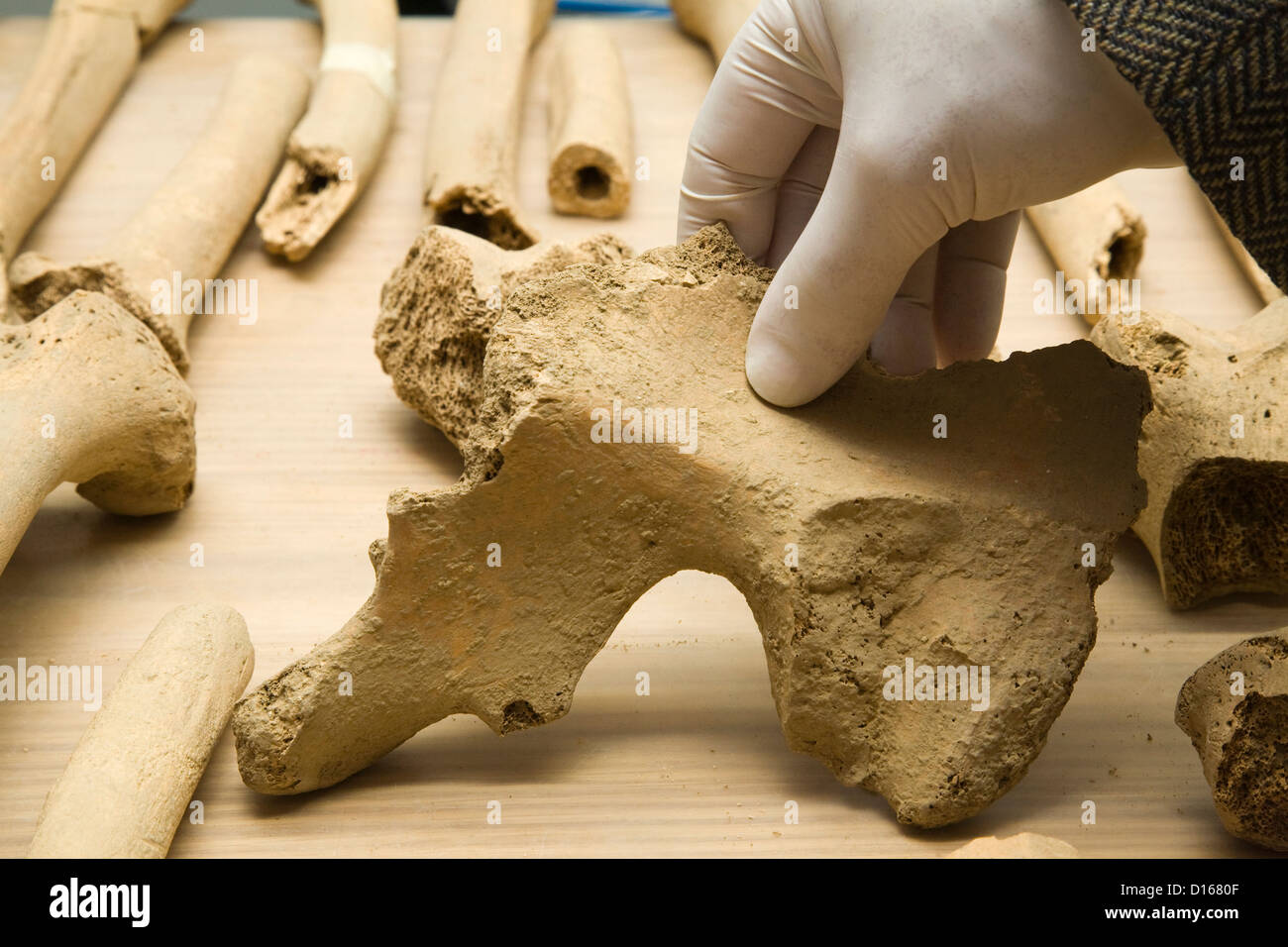 Europe, Italy, Emilia Romagna, Ravenna, university, research to find ...