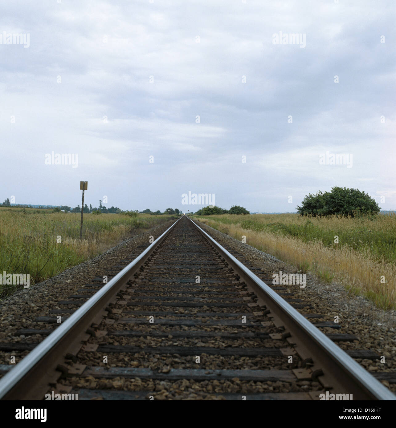 Green field form train hi-res stock photography and images - Alamy