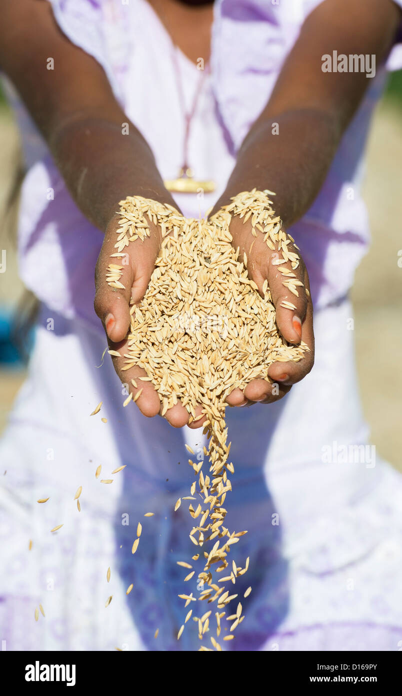 Child pouring rice hi-res stock photography and images - Alamy