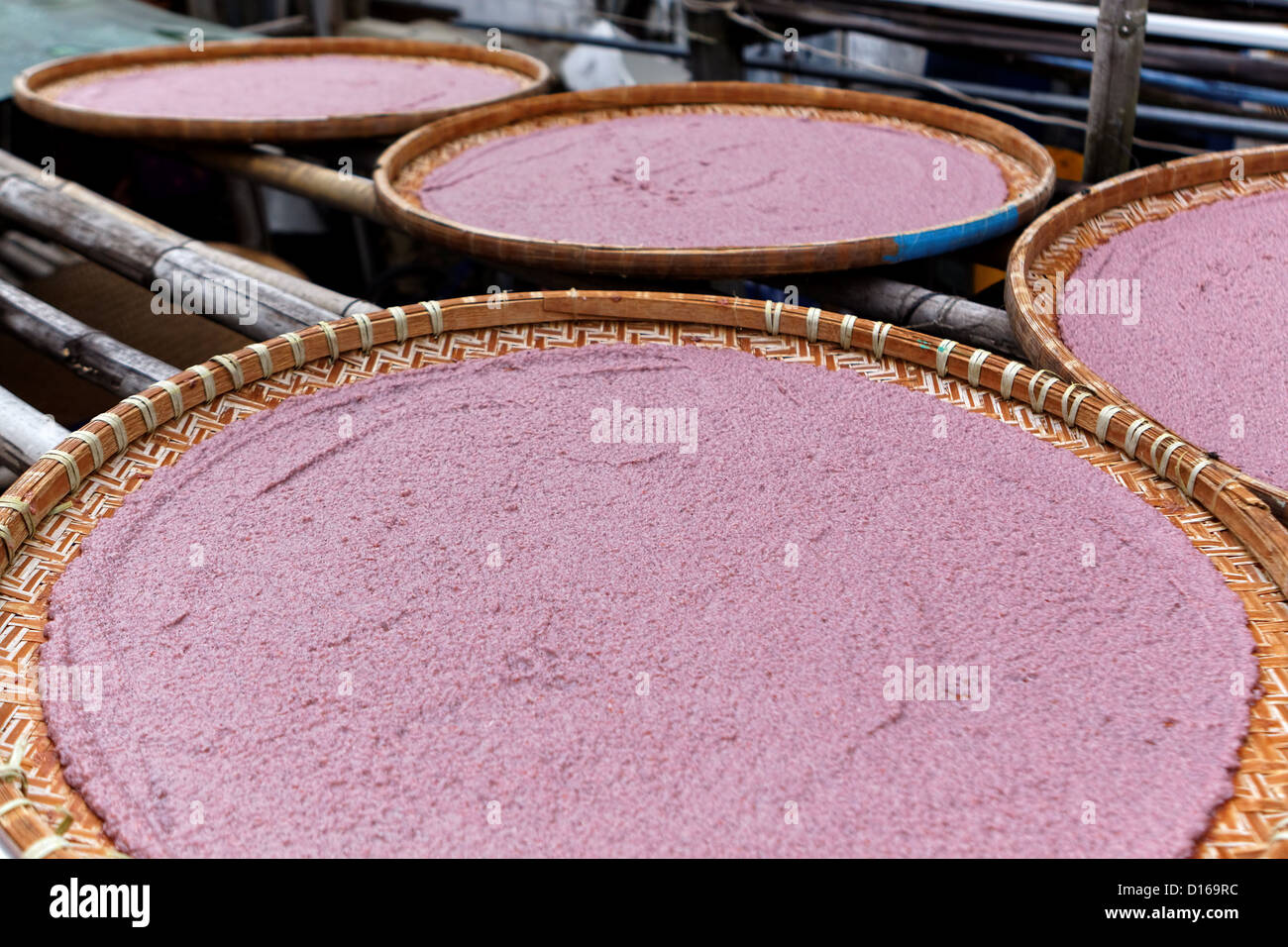 Galmbo hi-res stock photography and images - Alamy