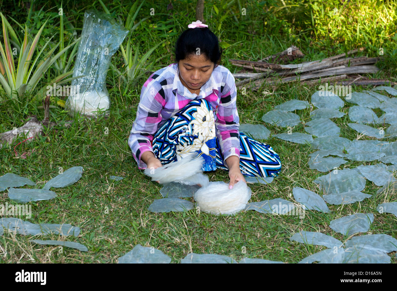 Drying out rice hi-res stock photography and images - Alamy