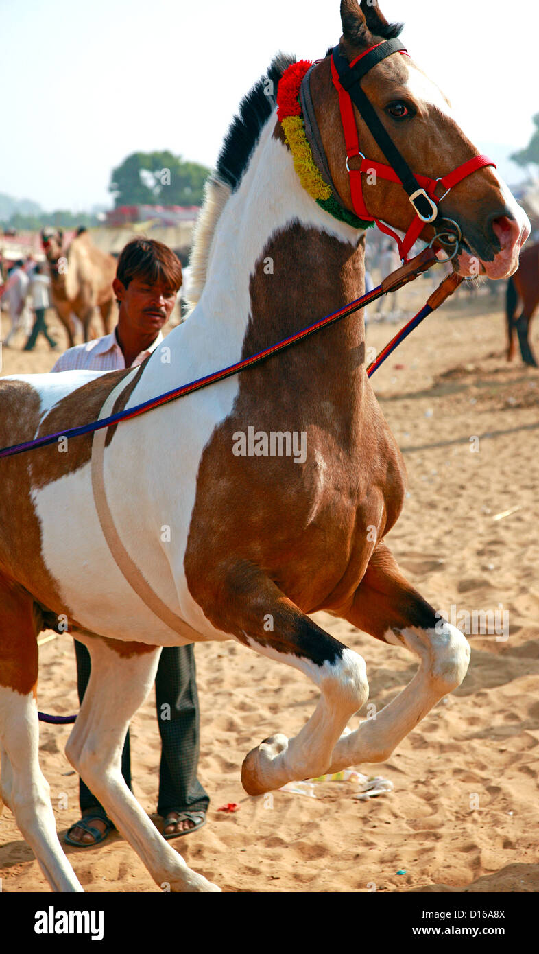 It’s time to go for a ride Stock Photo - Alamy
