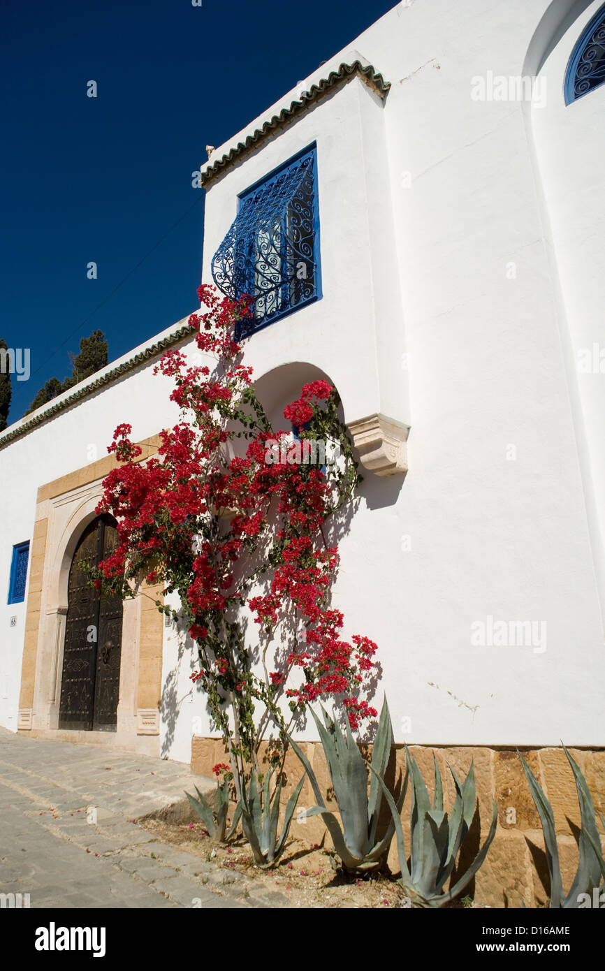 Building in the Village of Sidi Bou Said near Tunis in Tunisia Stock ...