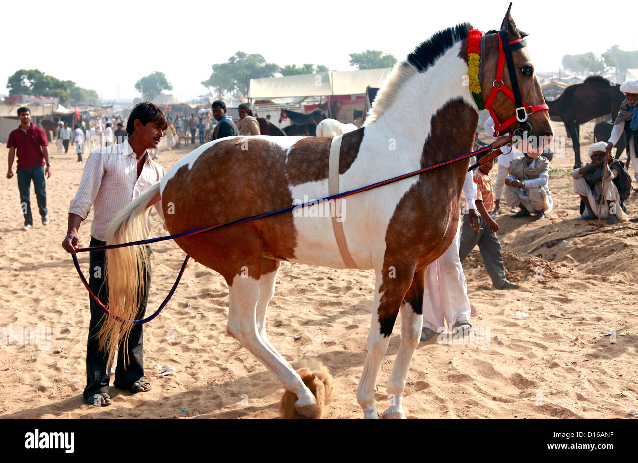 It’s time to go for a ride Stock Photo - Alamy