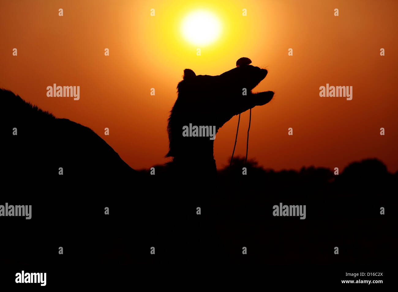 Multi colored desert sunset hi-res stock photography and images - Alamy