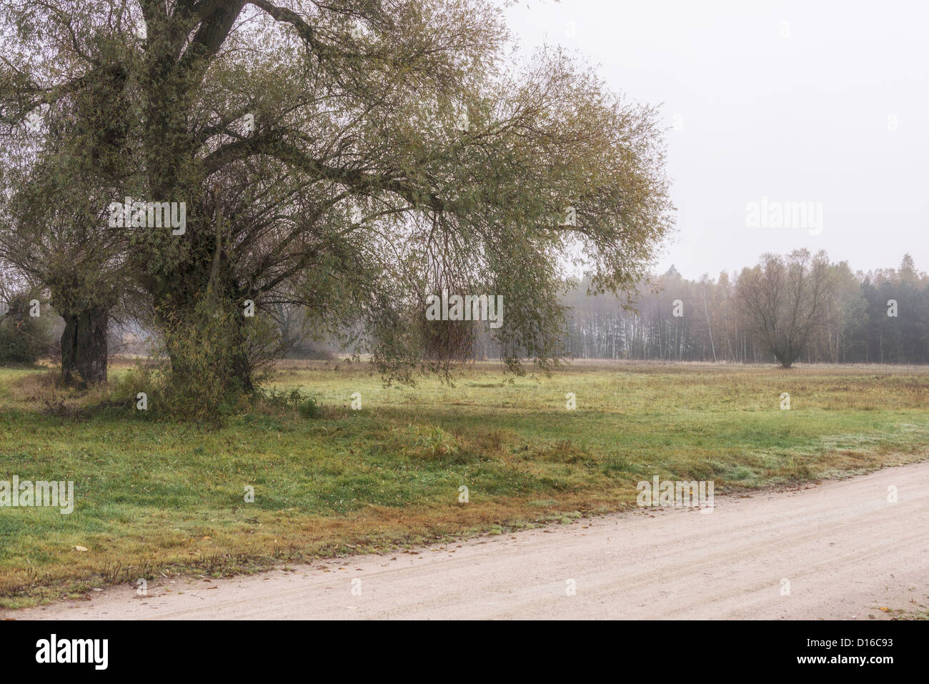 Around river Bug, Eastern Poland Stock Photo - Alamy