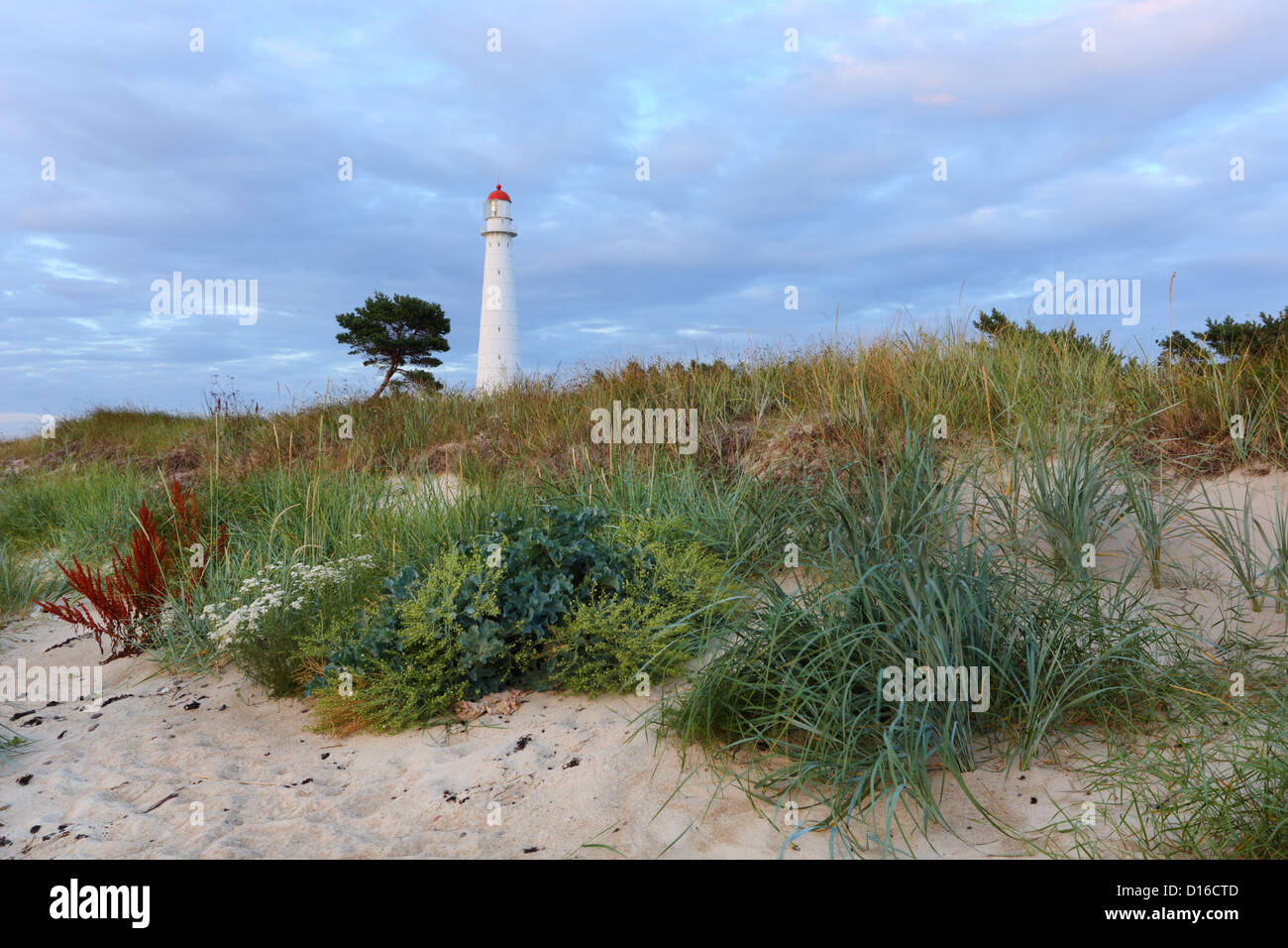 Lighthouse on Tahkuna peninsula, Hiiumaa, Estonia Stock Photo - Alamy