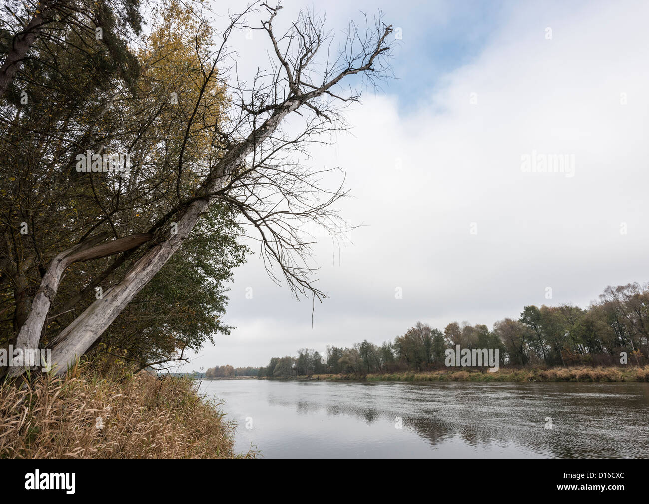 Around river Bug, Eastern Poland Stock Photo - Alamy