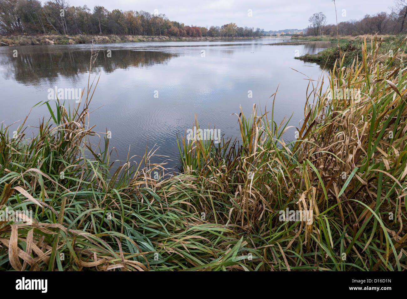 Around river Bug, Eastern Poland Stock Photo - Alamy