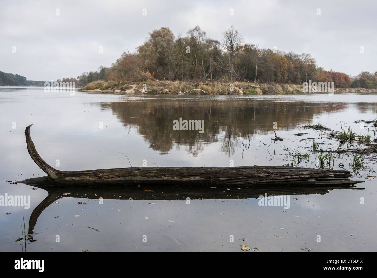 Around river Bug, Eastern Poland Stock Photo - Alamy