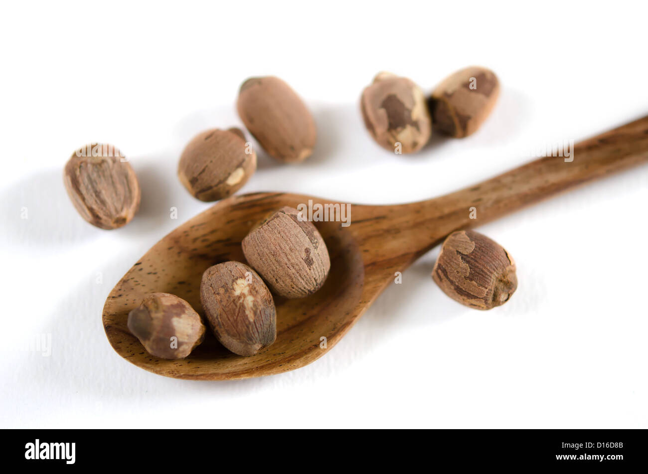 dry red lotus seeds with wooden spoon Stock Photo - Alamy