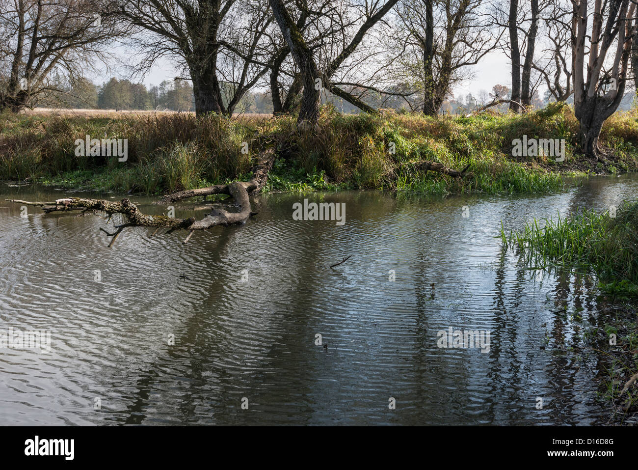 Around river Bug, Eastern Poland Stock Photo - Alamy