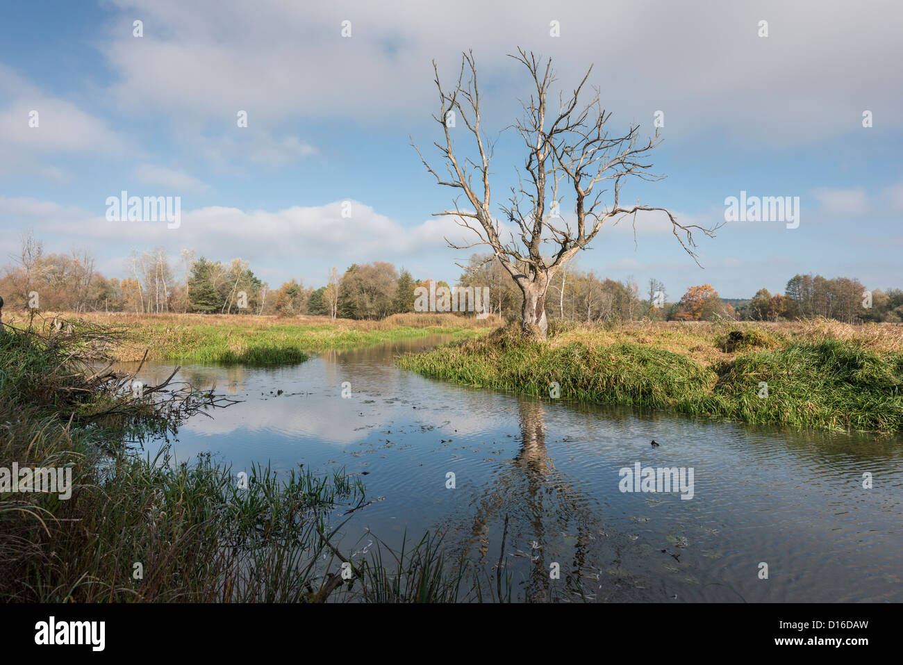 Around river Bug, Eastern Poland Stock Photo - Alamy