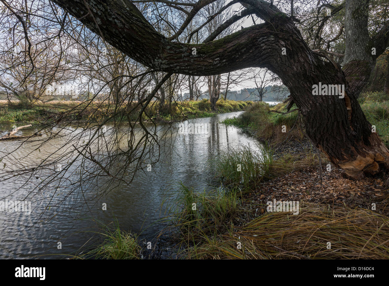 Around river Bug, Eastern Poland Stock Photo - Alamy