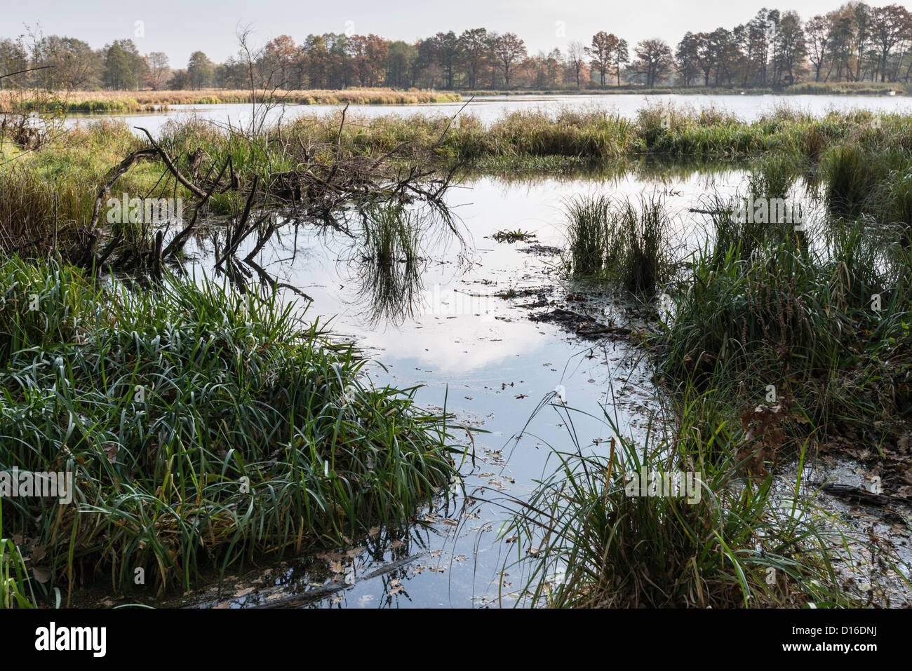 Around river Bug, Eastern Poland Stock Photo - Alamy