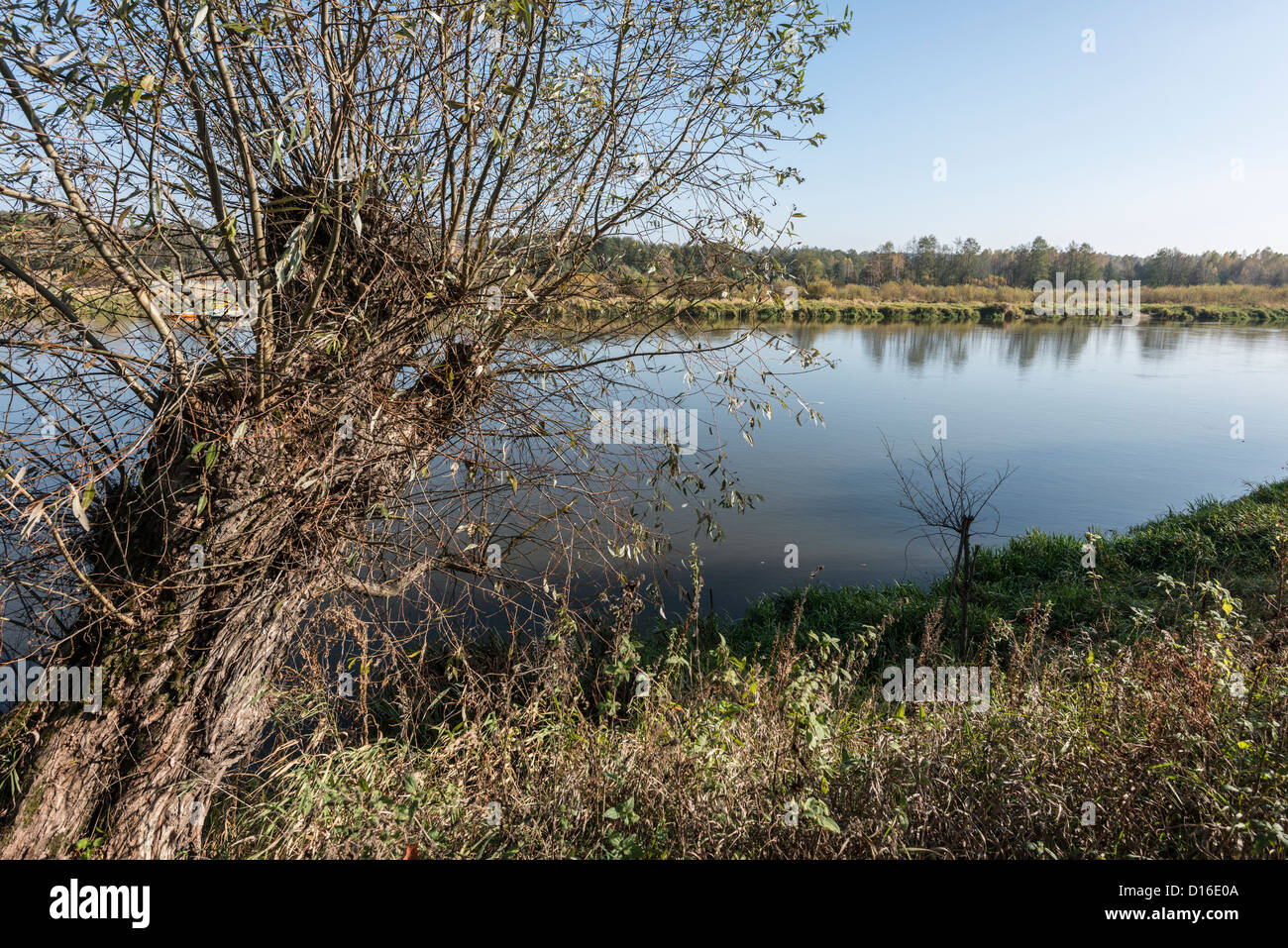 Around river Bug, Eastern Poland Stock Photo - Alamy