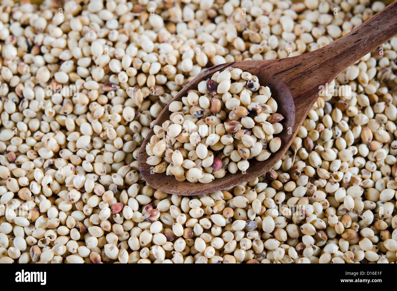 millet grains with wooden spoon , full background Stock Photo - Alamy