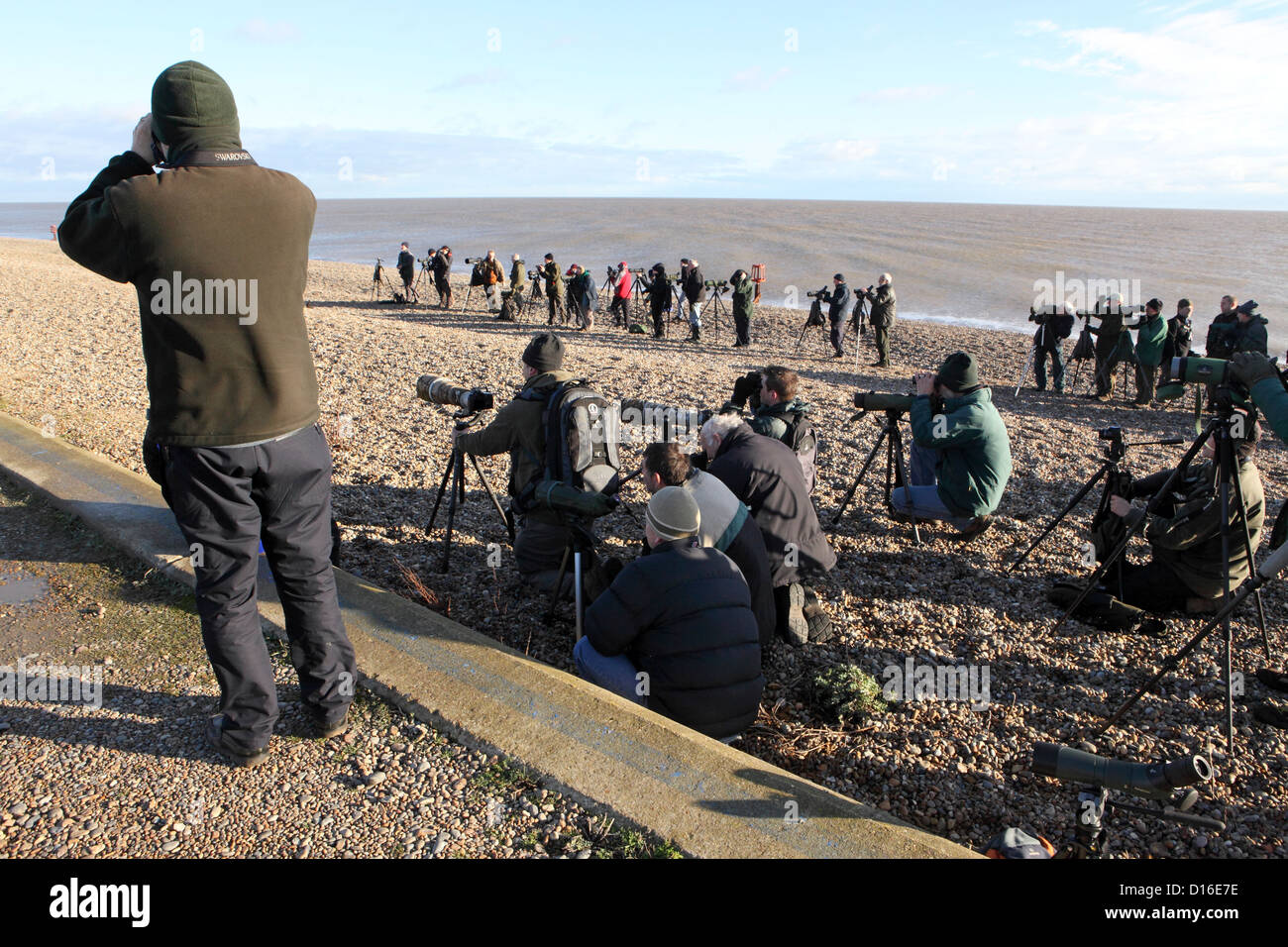 Large group of birders birdwatchers twitchers, birdwatching on ...