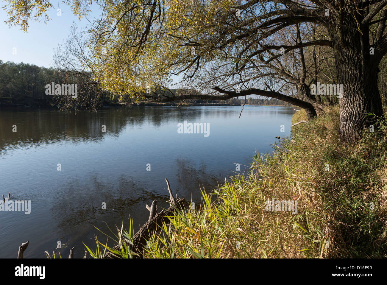 Around river Bug, Eastern Poland Stock Photo - Alamy