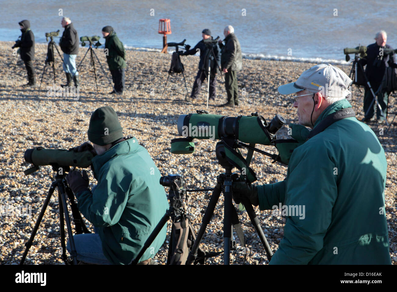 Large group of birders birdwatchers twitchers, birdwatching on ...