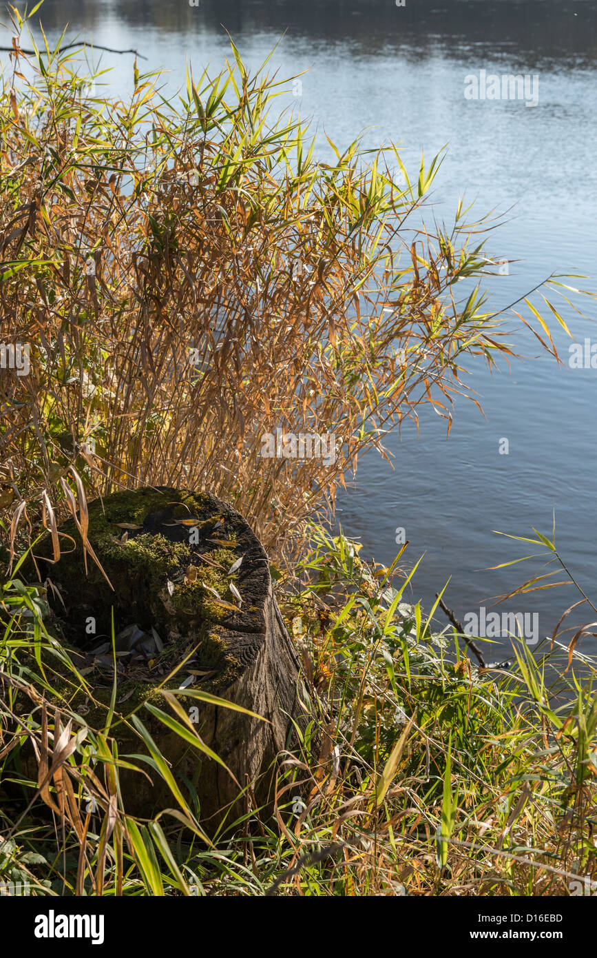 Around river Bug, Eastern Poland Stock Photo - Alamy
