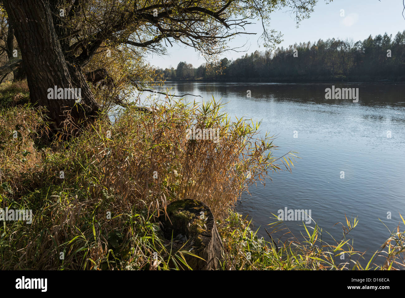 Around river Bug, Eastern Poland Stock Photo - Alamy