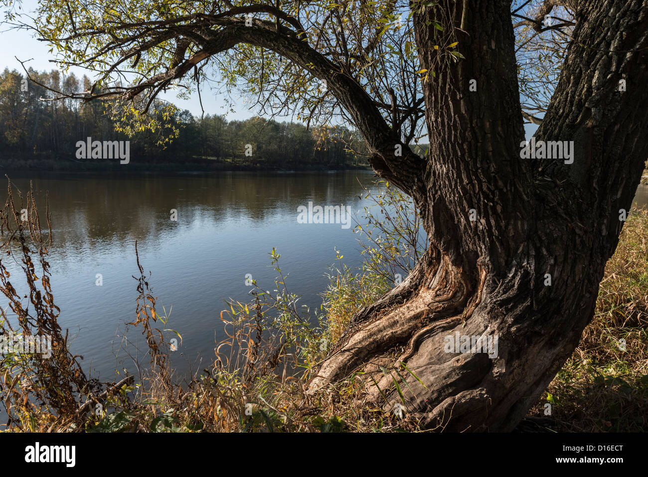 Around river Bug, Eastern Poland Stock Photo - Alamy