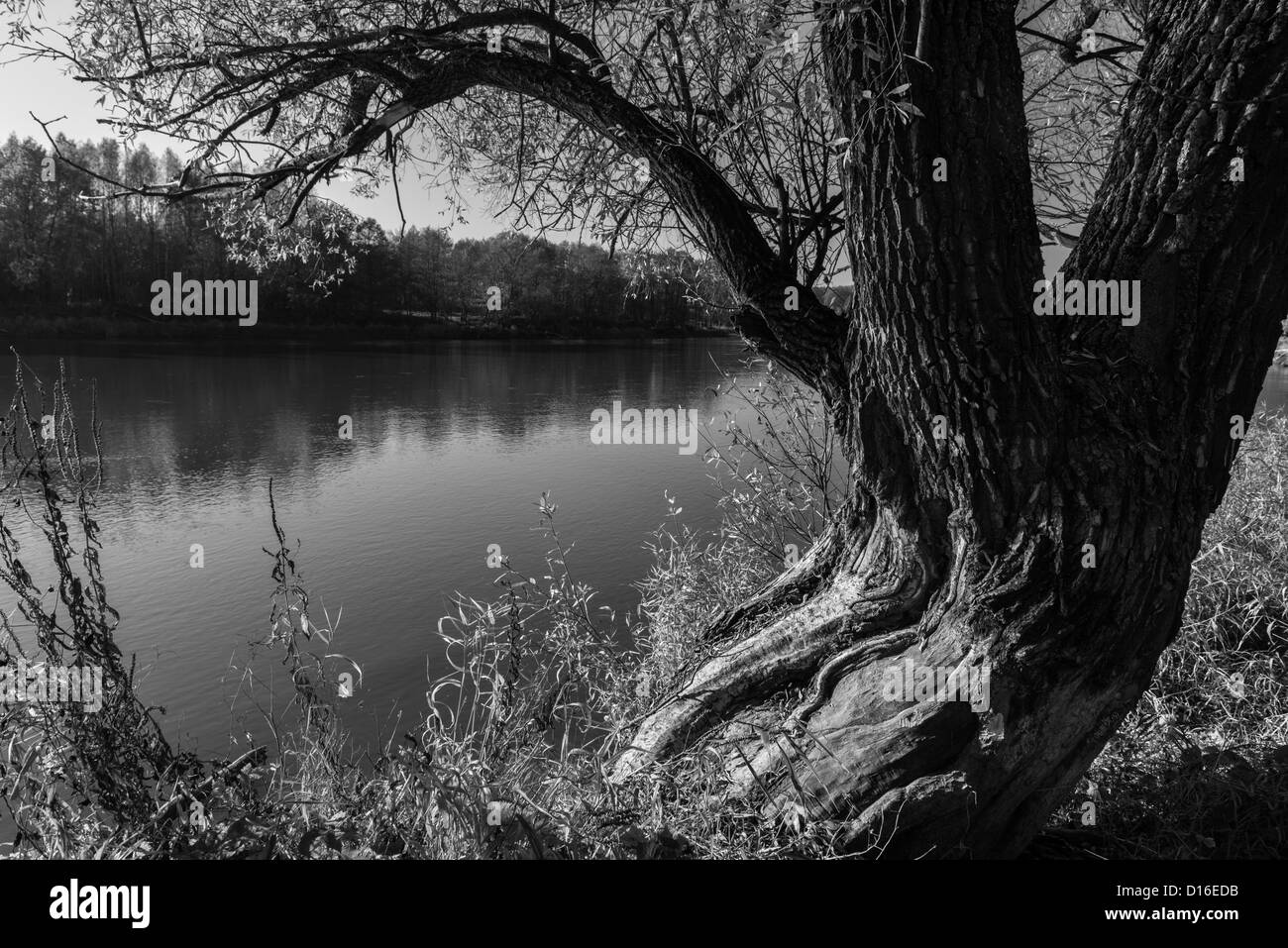 Around river Bug, Eastern Poland Stock Photo - Alamy