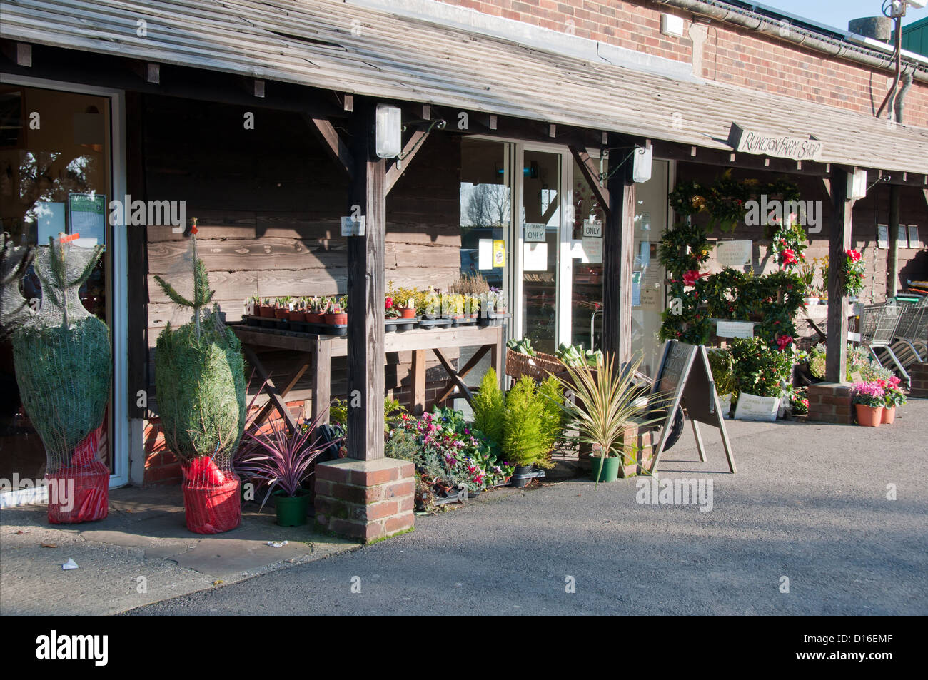 Runcton west sussex hi-res stock photography and images - Alamy