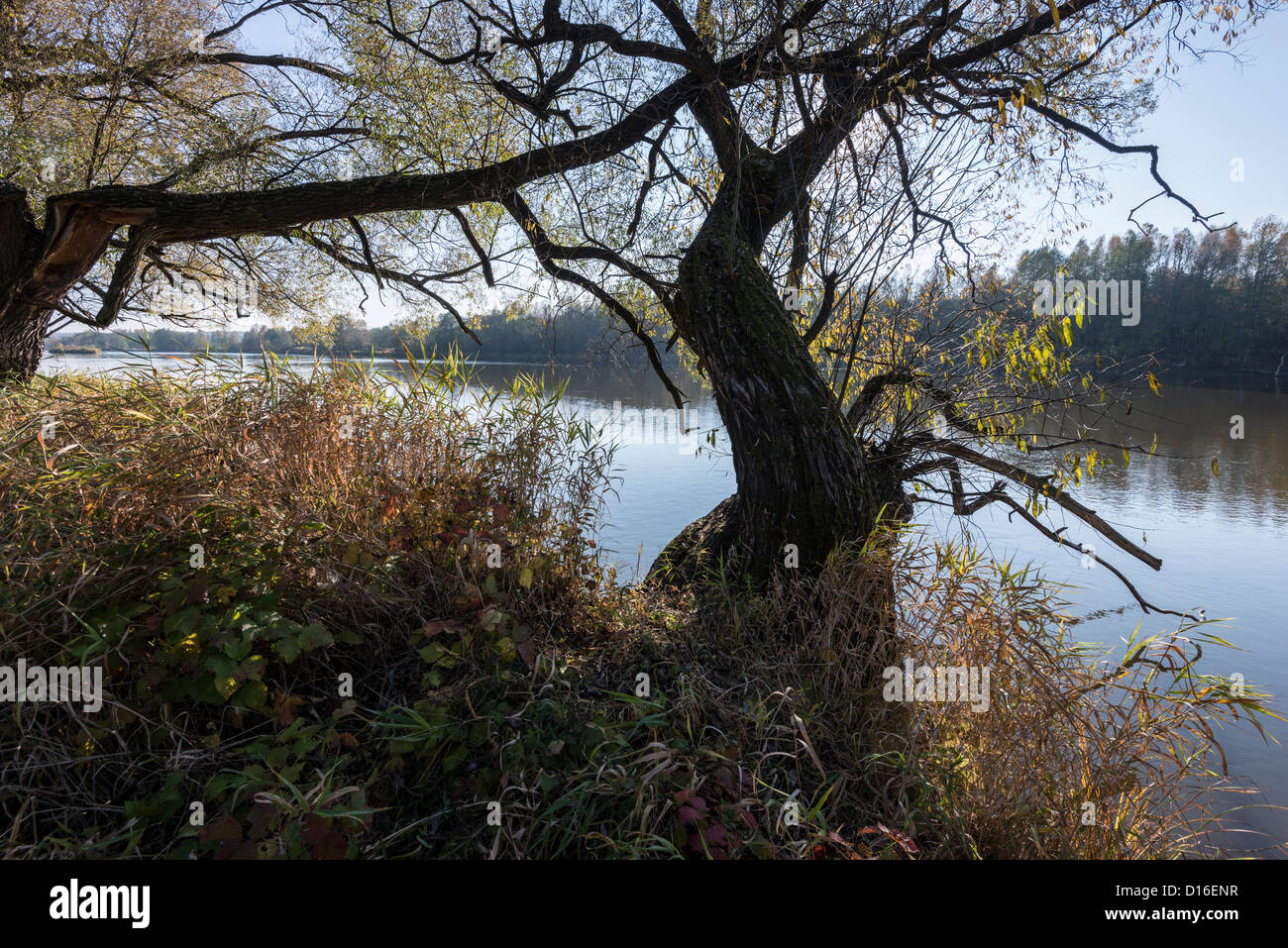 Around river Bug, Eastern Poland Stock Photo - Alamy