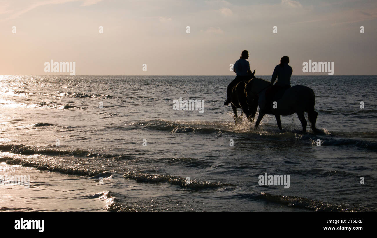 Sea horses ridden hi-res stock photography and images - Alamy