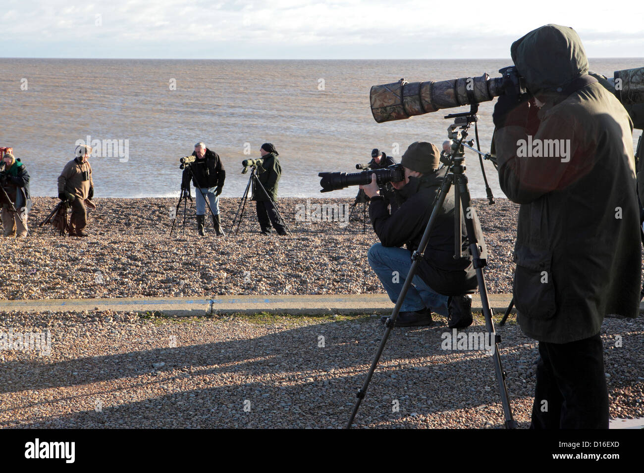Large group of birders birdwatchers twitchers, birdwatching on ...