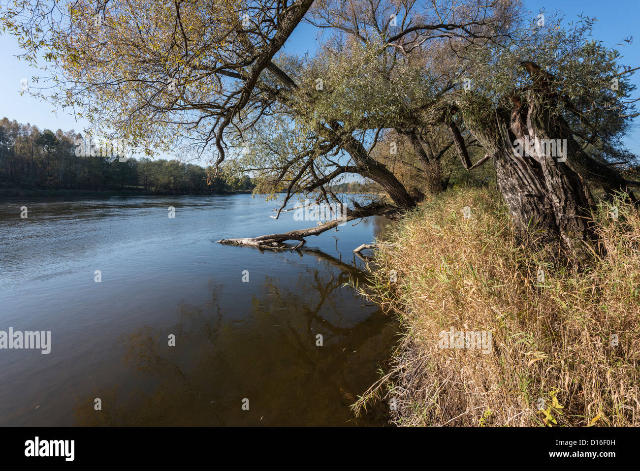Around river Bug, Eastern Poland Stock Photo - Alamy
