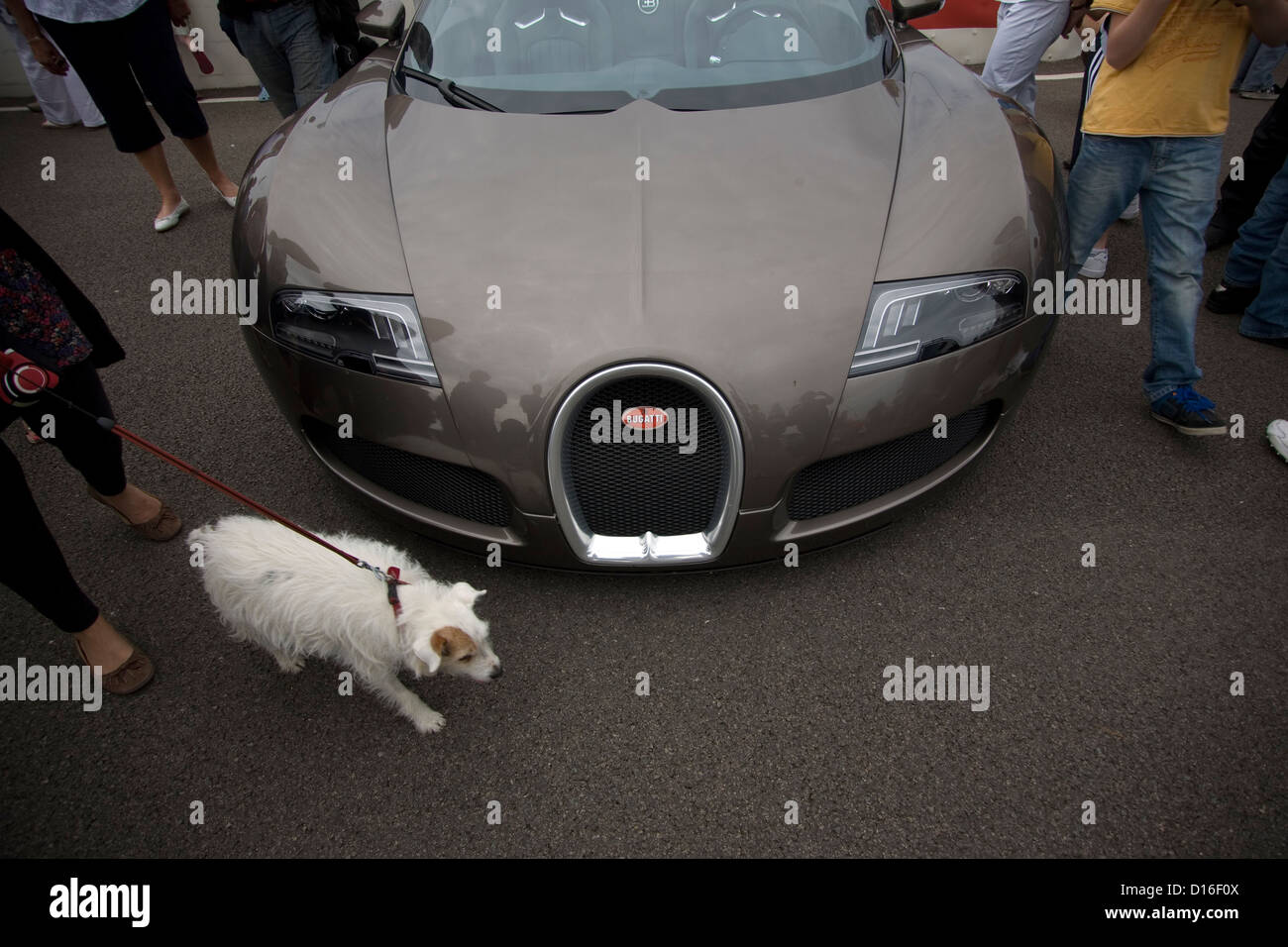 Crowd around car hi-res stock photography and images - Alamy