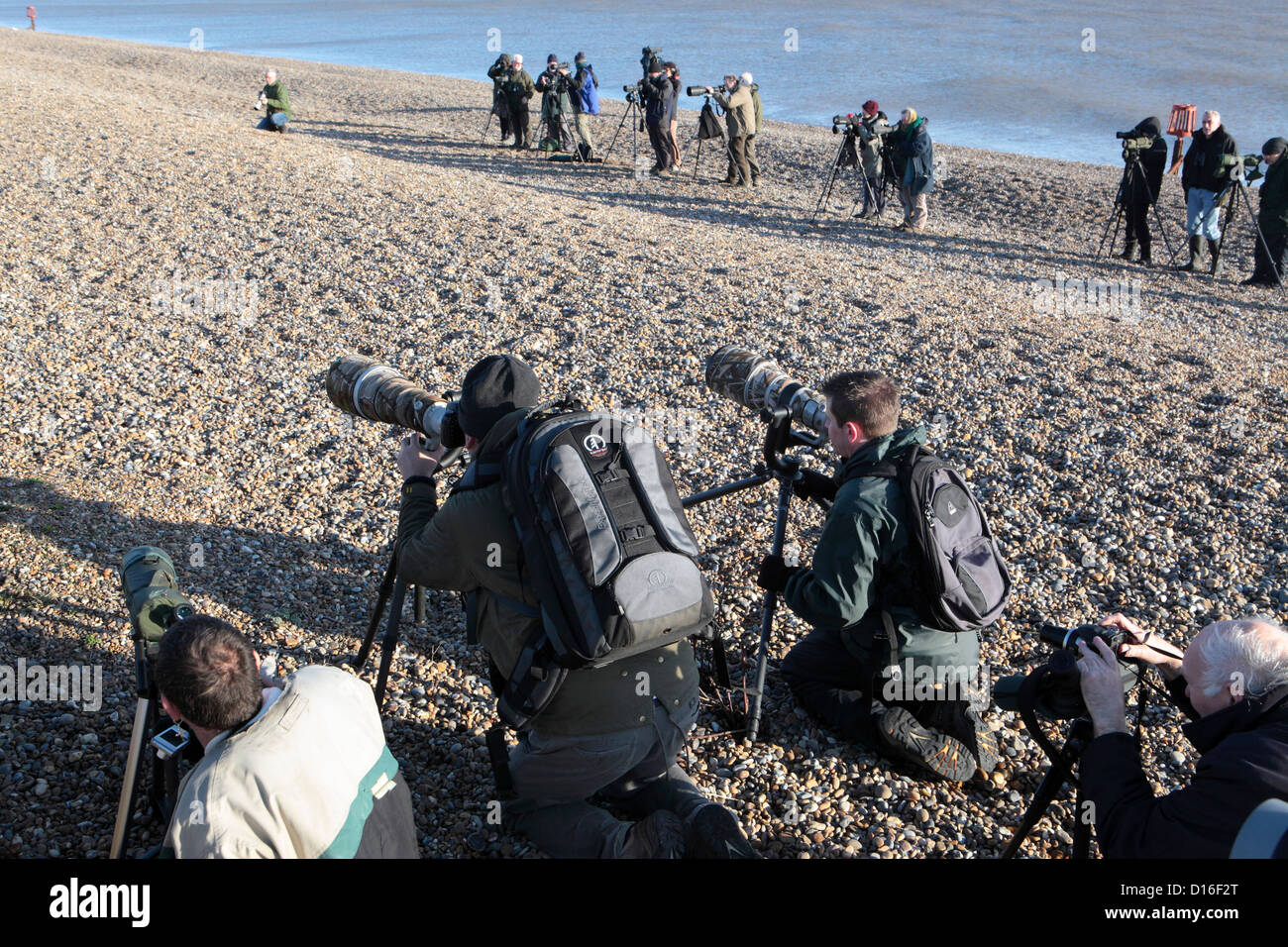 Large group of birders birdwatchers twitchers, birdwatching on ...