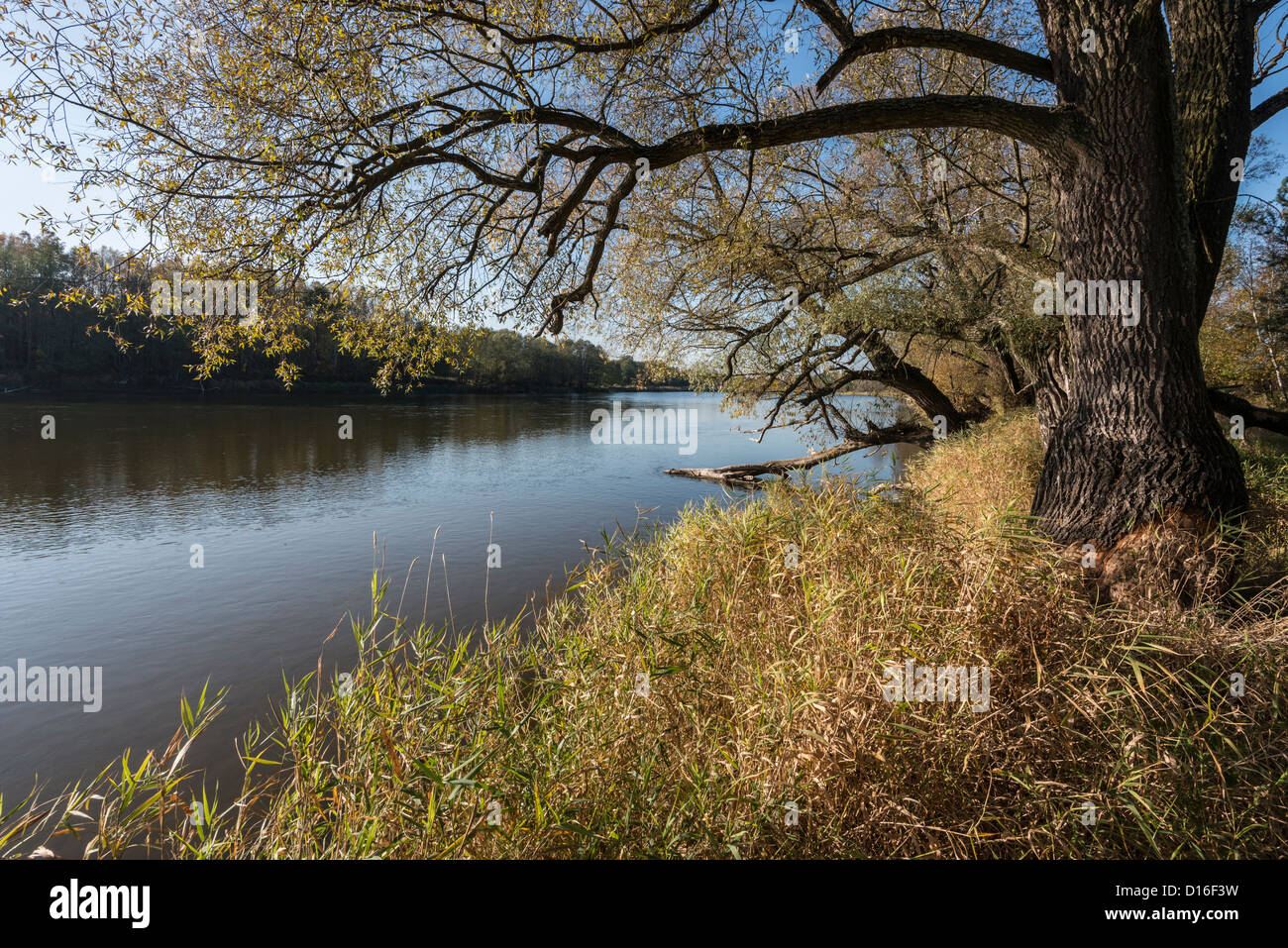 Around river Bug, Eastern Poland Stock Photo - Alamy