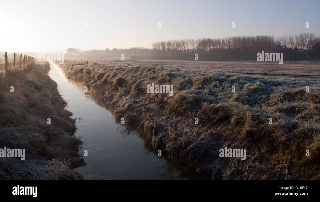 Frosty atmosphere hi-res stock photography and images - Alamy